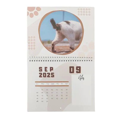 Cat Butt Wall Calendar 2025 Funny Calendar Planner Wall Cale
