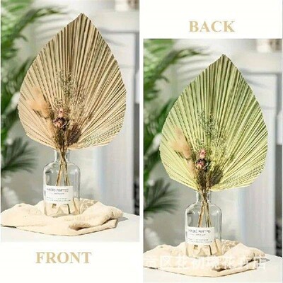 1~10PCS 4 Pieces Natural Dried Palm Leaves Are Perfect For