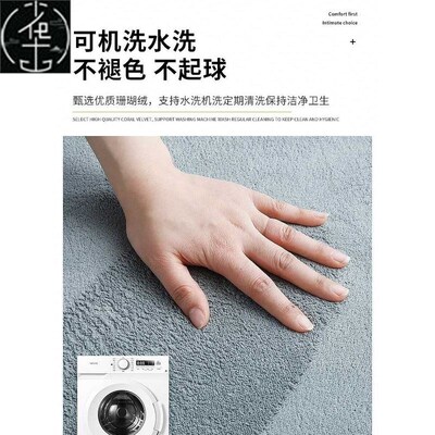 Carpet bedroom bed blanket living room blanket floor mat rug