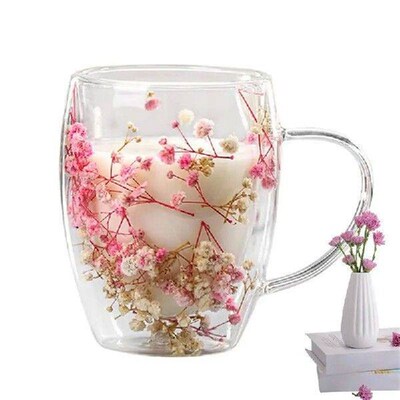 Fillings Dry Flowers Double Wall Glass Cup With Handle Heat