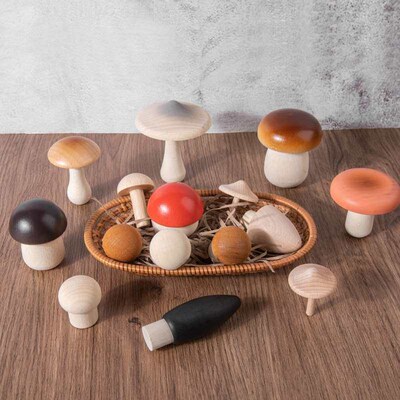 eech smulaton mushroom game ay early educaton magnaton play