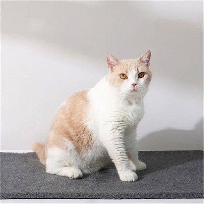 Dog House Heating Bed Mat for Small Dogs Cats Easy to Clean