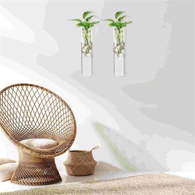2 Pcs Glass Tube Wall Vase Flower Pot Terrarium Plants