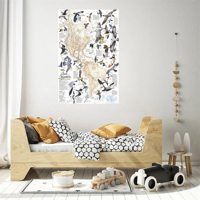 西半球鸟类迁徙  国家地理科普海报 大尺寸儿童房书房装饰画芯