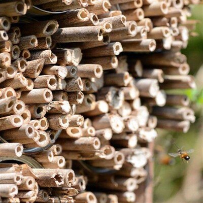 100 Pcs Honeycomb Reed Tube for Bees Beehive House Letter