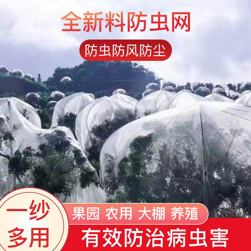 果树防虫网大棚杨梅樱桃防虫防鸟网罩多肉莲雾桃树罗幔农用防护罩