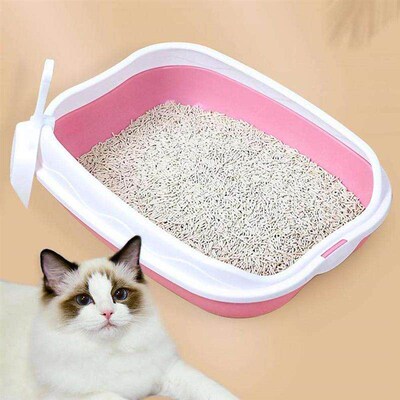 Cat Litter Box With Litter Shovel Anti Splash Double-layer D