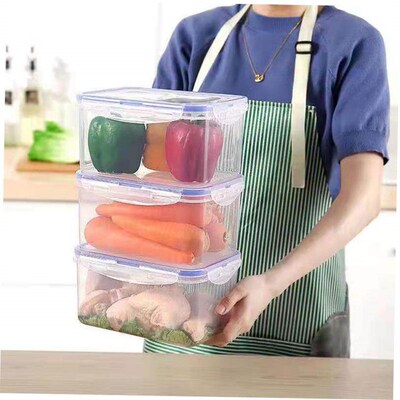 plastic food fruit storage box container lunch fridge big