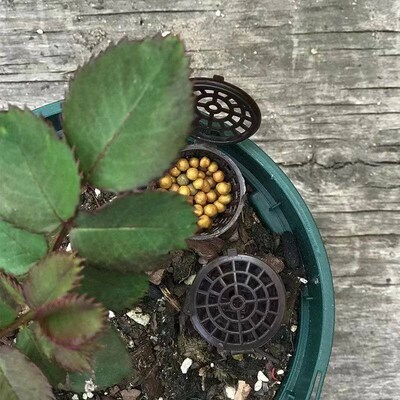 10-30PCS Large Fertilizer Basket With Lid Plant Flowerpot Fe