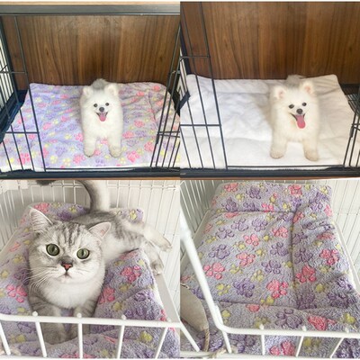 M-XXL Plush Dog Cat Mat Dog Bed Thickened Soft Wool Mat Blan