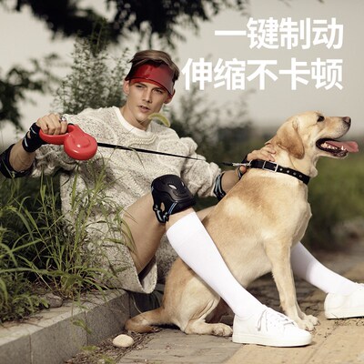 菲达fida 狗狗牵引绳自动伸缩绳子泰迪狗链子大小型犬宠物用品