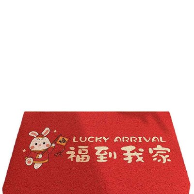 New Year Floor Mat Entrance Door Entrance Foot Mat Outside D