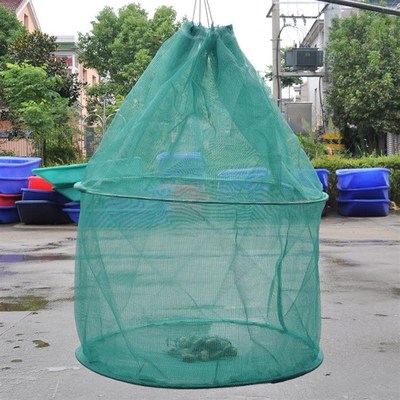 存鱼网箱小型暂养鱼小网箱鱼网养鱼螃蟹龙虾网吊网养殖专用折叠