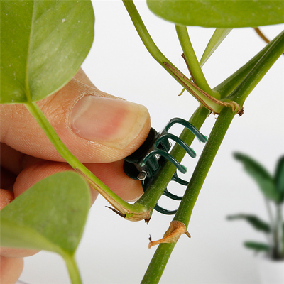 100PCS Plastic Plant Support Clips Orchid Stem Clip for Vine