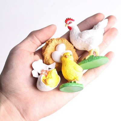 Kids Educational Toys Plant Seeds Growth Life Cycle Playset0
