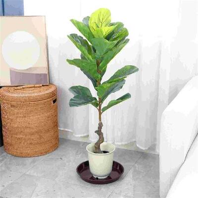 5+Pcs+Flower+Pot+Trays+300+Coffee+Brown+26CM+Inner+Diameter