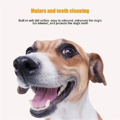 Dog Squeaky Teething Ball Funny Puppy Teeth Cleaning Sound