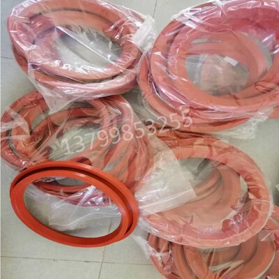 圆顶阀插入式密封圈P17458C-01 DN100嵌入式密封圈 充气式密封圈