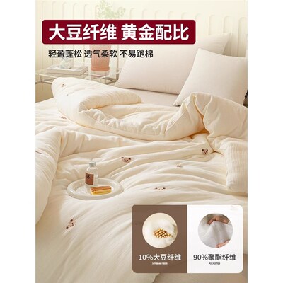 2025 summer quilt/comforter/blanket/quilts/duvet /blankets