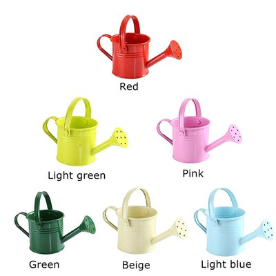 1Pcs Metal Watering Can Garden Flower Kettle Small Water Spr