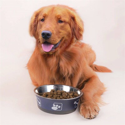 A cartoon bone footprint pet dog stainless steel anti slip b