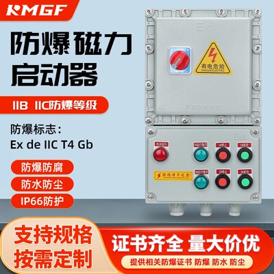 防爆磁力启动器支持定制一路2路3路风机水泵电动机控制按钮箱开关