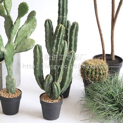 仿真11253堆人掌沙风格植生物造景搭配仙龙神柱门店景店铺装饰摆