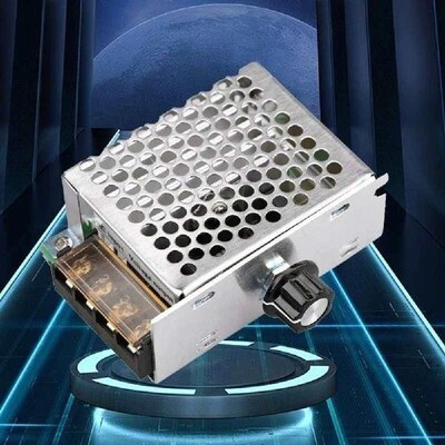 4000W Thyristor Governor with Fuse Case AC 220V Temperature