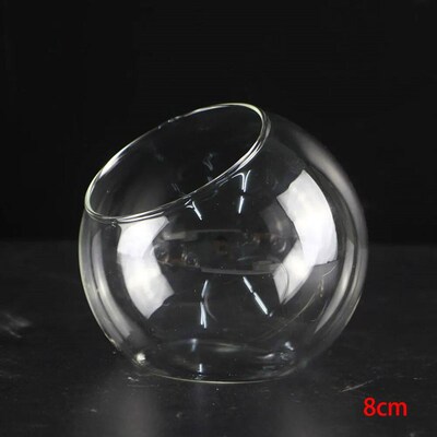 1PC Creative Clear Glass Ball Vase Micro Landscape Glass Vas