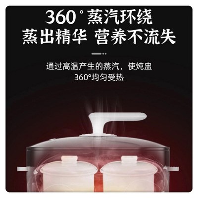 天际智能电炖锅 全自动煲汤BB粥柠檬膏燕窝隔水炖盅L 可蒸可炖