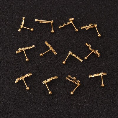 New Stainless Steel Twelve Constellation Ear Piercing Jewelr