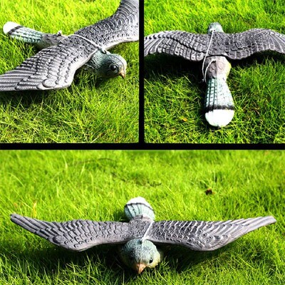 3D Fake Flying Falcon Hawk Bird Repellent Decoy Pest Control