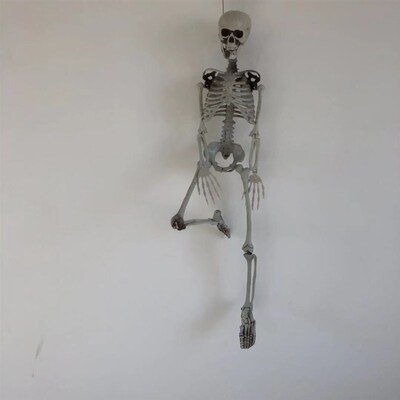 Halloween artificial plastic skeleton props display骷髅架