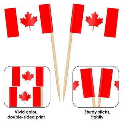 100 Pcs Toothpick Flags, Mini Flag Cupcake