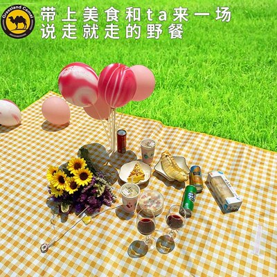 Non-woven picnic mat moisture-proof waterproof portable ins