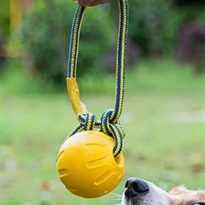 Dog Jolly Ball Training Chewing Ball With Handle