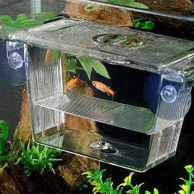 Double-Deck Clear Fish Breeding Isolation Box Aquarium