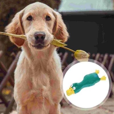 Pet Sound Dog Pacifier Puppy Small Bite Resistant