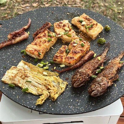 Grilling Pan Non-stick Oil Frying Baking Pan Multi-purpose