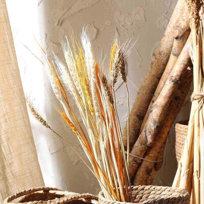 Art Decorate of Natural Plants in Wheat Ear and Barley