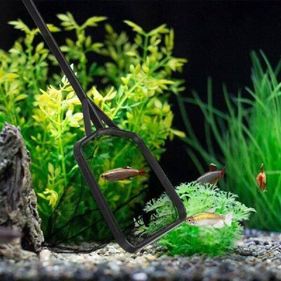 Durablity Fishing Landing Net Corrosion Resistant Shrimp