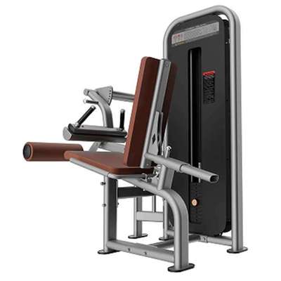 坐式曲腿训练器Entra?neur de flexion des jambes assis