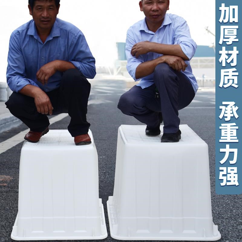 加厚塑料水箱长方形中转物流箱大号塑料水桶养鱼龟水产养殖周转箱