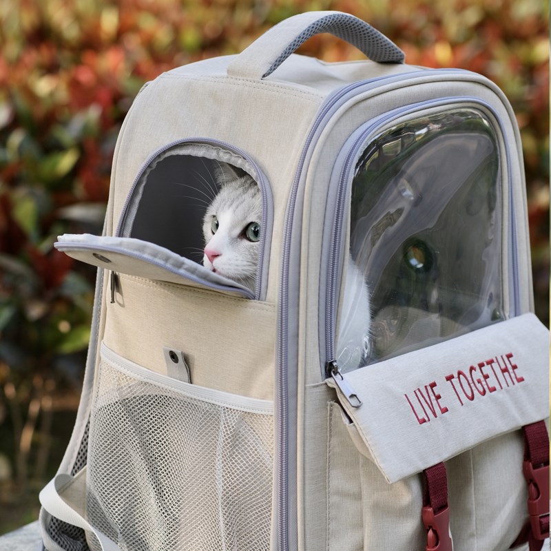 猫背包外出包宠物便携大容量装猫笼狗双肩袋夏天透气猫咪外带书包