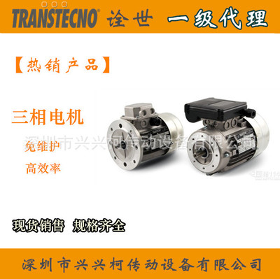 MS7116电机  TRANSTECNO减速机 诠世电机