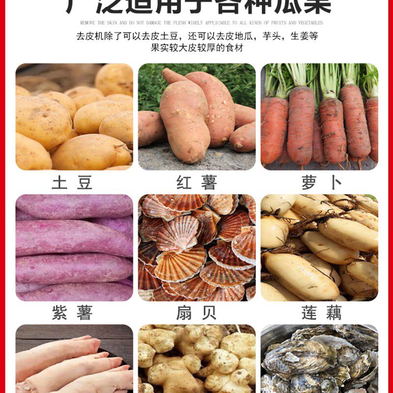 土豆清洗去皮机商用不锈钢全自动洋芋核桃果蔬莲藕红薯去皮清洗机