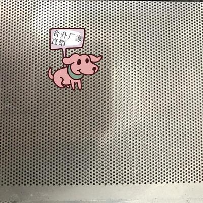 304不锈钢冲孔网板网0.2/0.30.5mm孔0.4/0.6/0.8/1mm圆孔网板筛