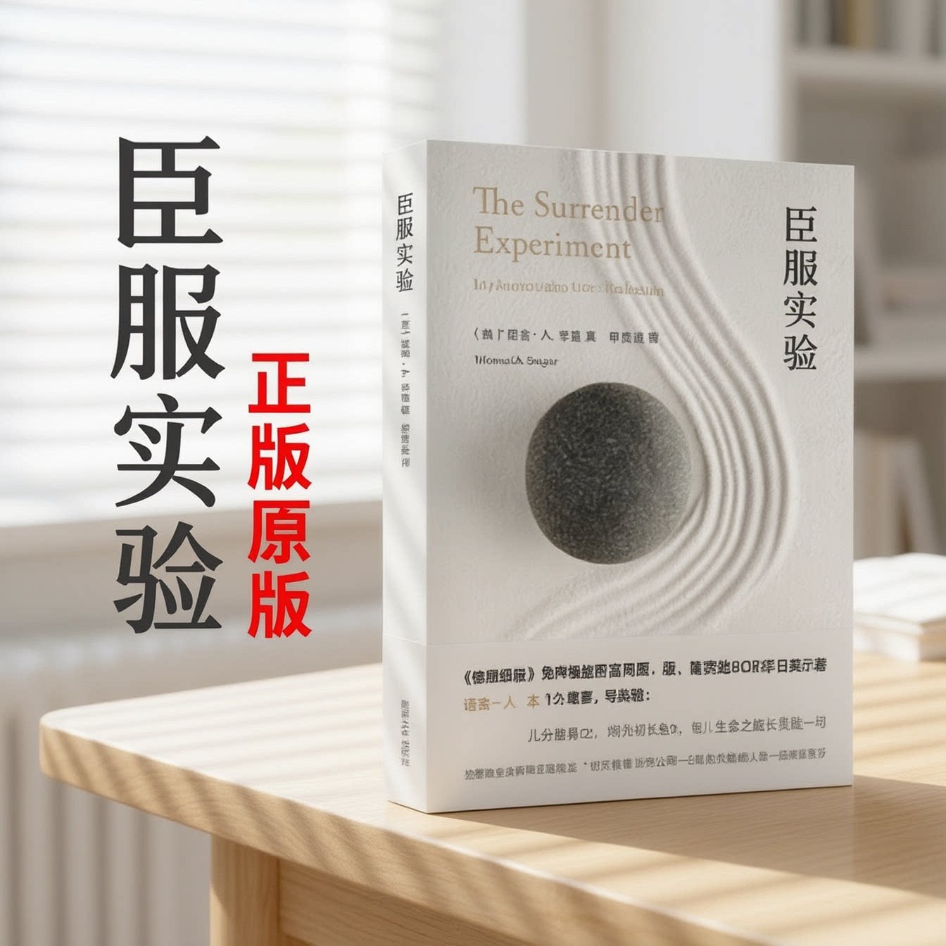 臣服实验原版 迈克·A.辛格著 不羁的灵魂的作者真真实的人生故事纽约时报书 从隐居者到上市公司CEO 自我实现励志