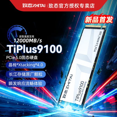 致态长江存储 2TB SSD固态硬盘 NVMe M.2接口 TiPlus9100 系列