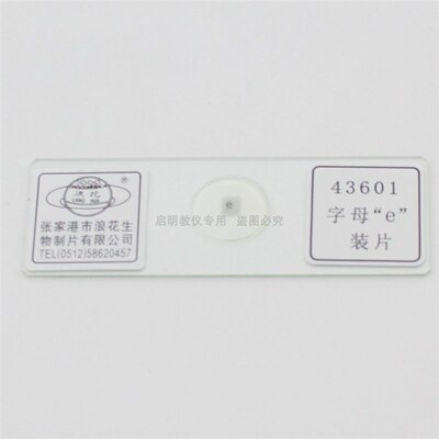 43601字母e装片初中学生物实验室配套教学用张家港浪花牌玻切涂片
